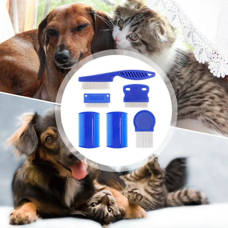6-Pack Stainless Steel Flea Combs for Gentle Grooming, Removing Fleas ...