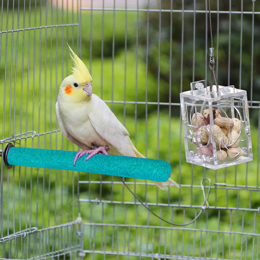 Bird Claw Beak Grinding Bar Standing Stick Parrot Station Pole Bird ...
