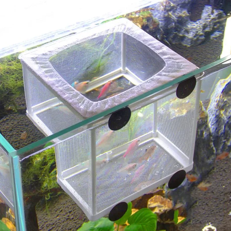 New Plastic Fish Tank Isolation Box For Aquarium Breeding And Hatching ...