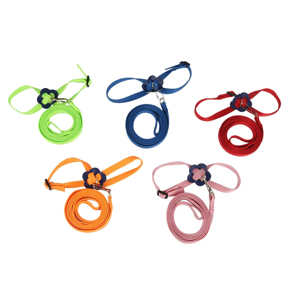 Adjustable Pet Leash for Birds, Hamsters, Turtles & Lizards - Anti-Bite ...