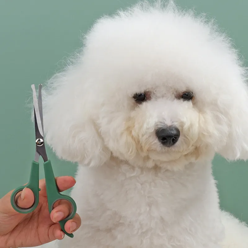 Stainless Steel Professional Texturizing Scissors For Dogs With Round ...