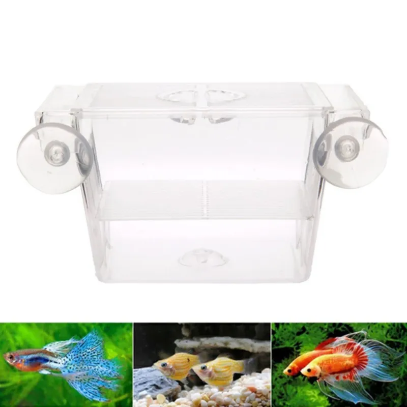 Fish Breeding Box With Isolation Net For Aquariums, Hatchery, And Fish ...