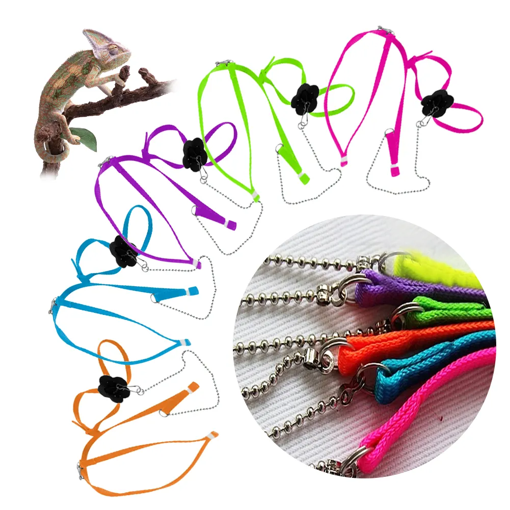 DHgate.com:Adjustable Reptile Lizard Harness & Leash - Blue Walking ...