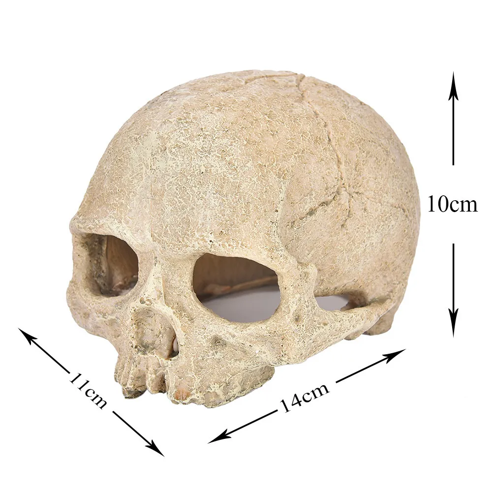 DHgate.com:Realistic Resin Skeleton Skull Aquarium Decoration - Reptile ...