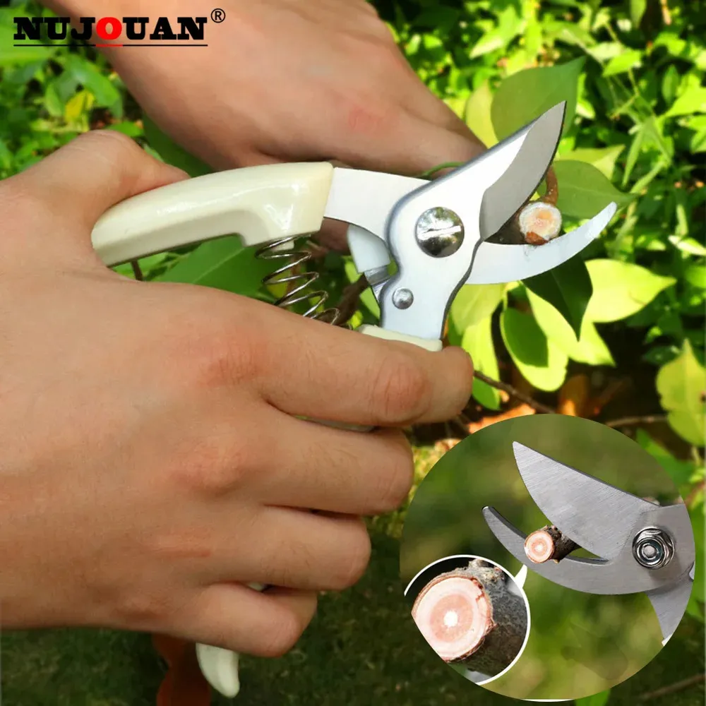 Garden Grafting Scissors - Fruit Tree Pruning Shears, Branch Trimmer ...
