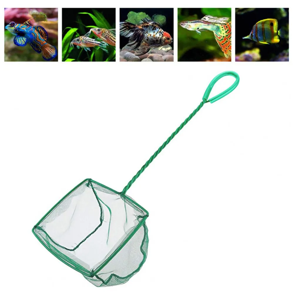 Wholesale Extendable Fishing Net Aquarium Nets: Safe Nylon Fish ...
