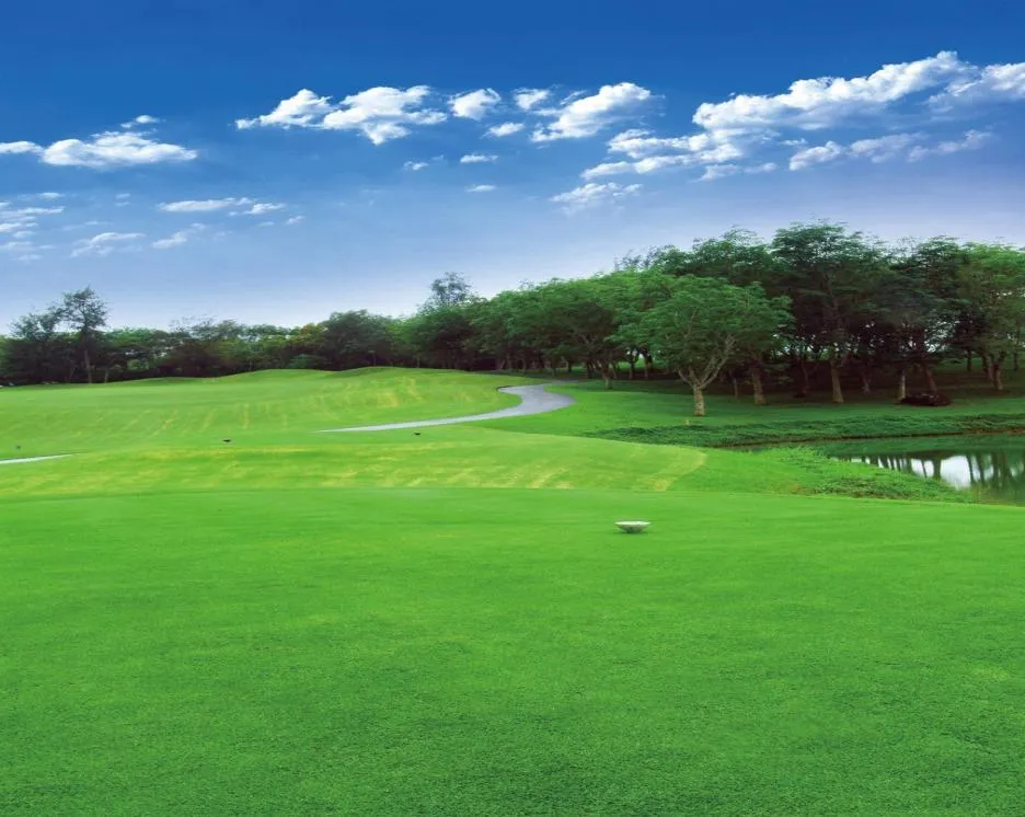 Golf Course Po Background Green Lawn Trees Blue Sky Cloud Outdoor ...