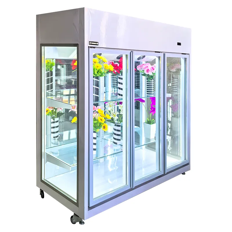 Premium Flower Cooler Refrigerator - Floral Display Cabinet, Ideal ...