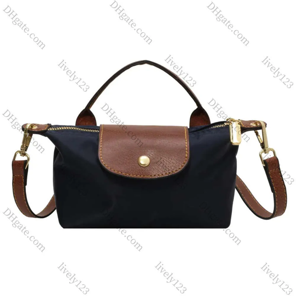 2024 Designer Luxury Womens Nylon Handbags Square Nylon Messenger Bag ...