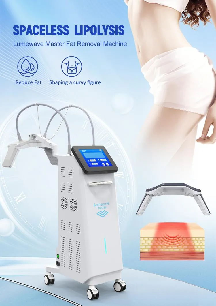 2025 RF Lipolysis Fat Dissolving Beauty Equipment for Non-Invasive Fat ...