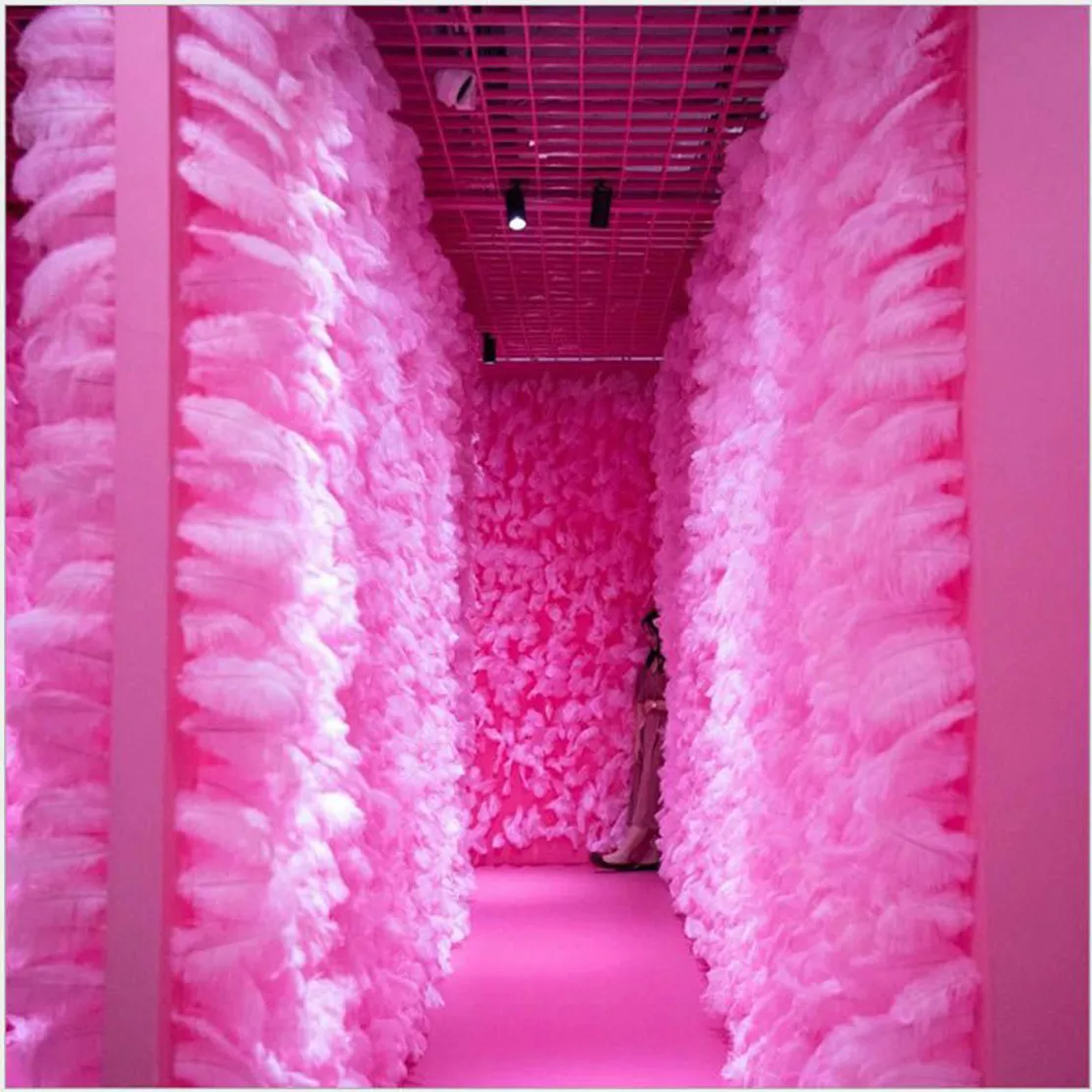 Premium Pink & Red Ostrich Feathers - Elegant Party & Wedding ...
