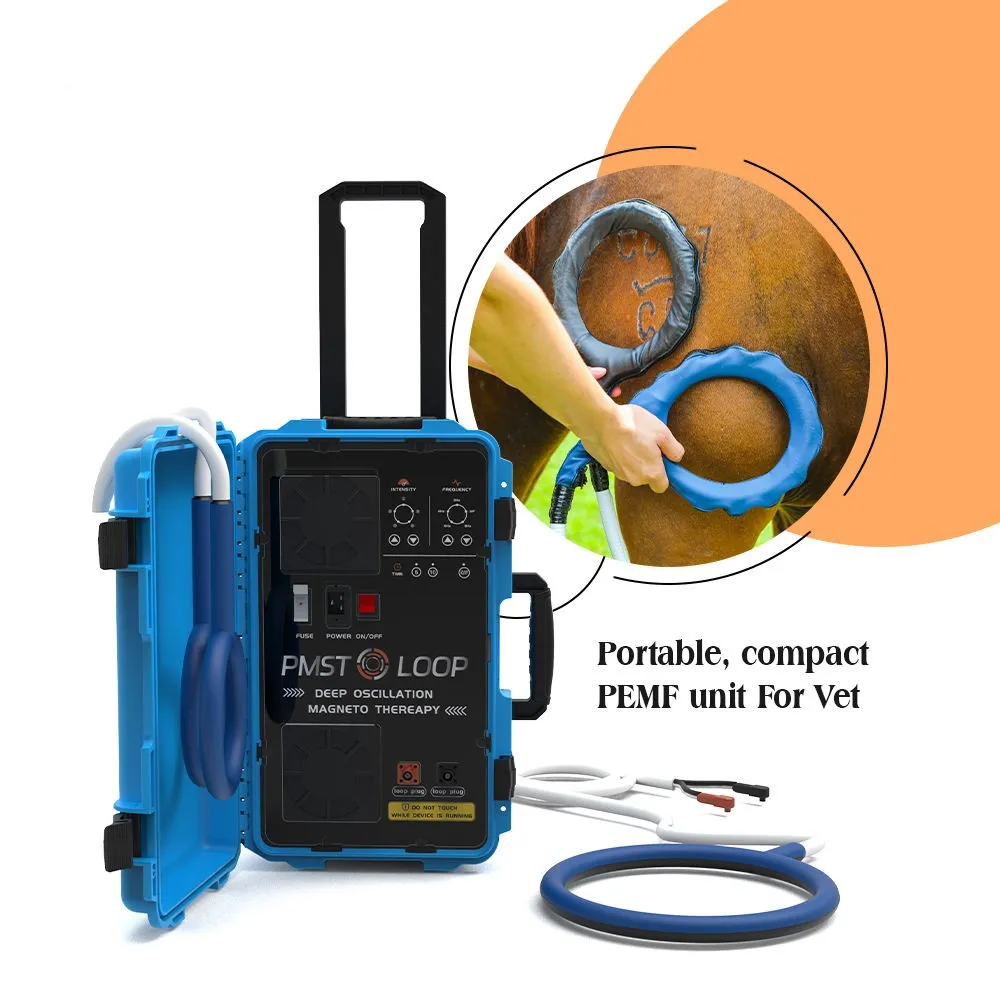 Petlite Magnetic Therapy Portable PEMF Machine Apply To Entire Body For ...