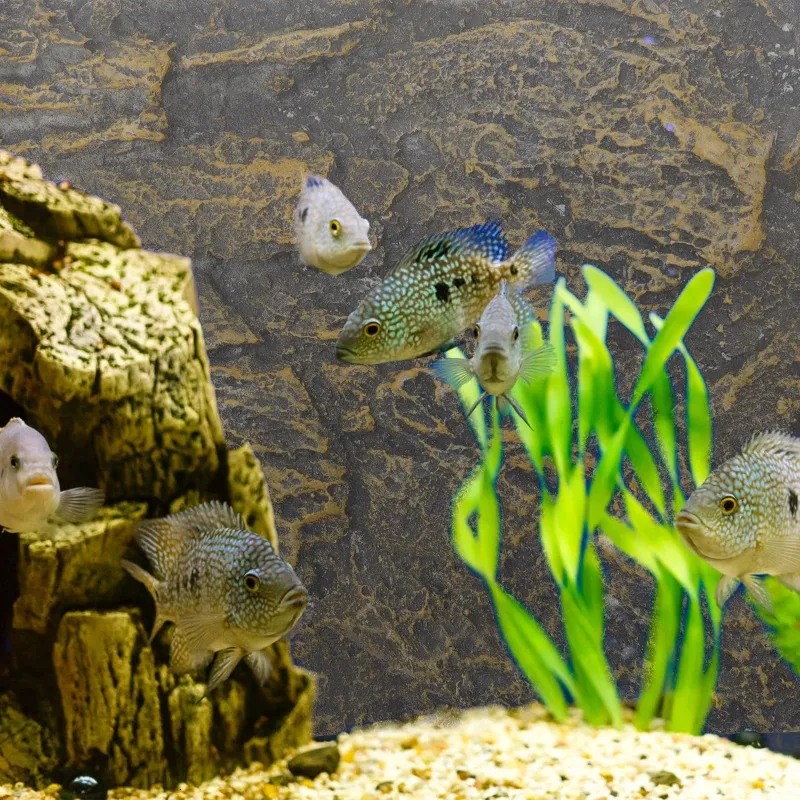 Fish Tank Rock Decor, Aquarium Backdrop: Lightweight 3D Rock Panel ...