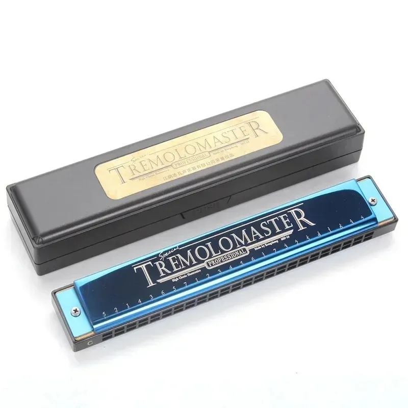 Professional 24-Hole C Key Harmonica - Double Row Blues Mouth Organ for ...