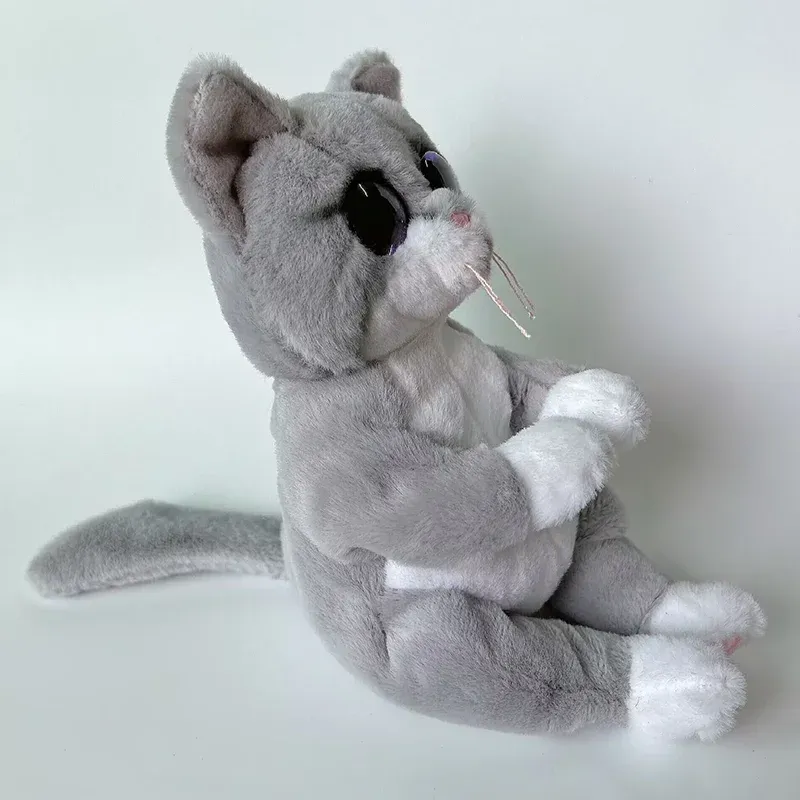 Ty 15cm Beanie Bellie Big Eyes Cat Morgan Plush... From Ddmylovely, $31 ...