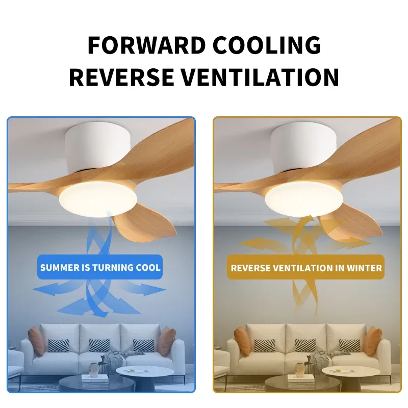 Remote-Controlled Low Floor DC Motor ceiling fan ceiling fan - 6 Speeds ...