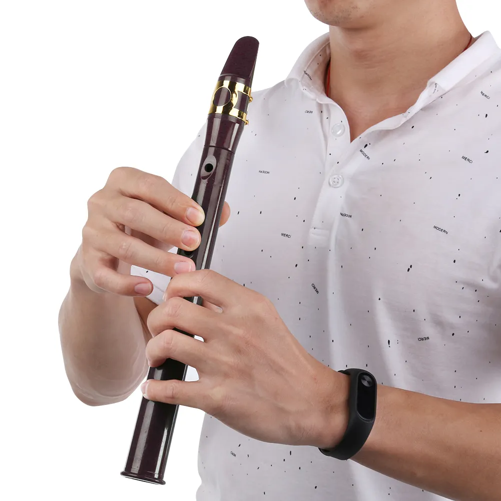 DHgate.com:8-Hole ABS Beginner Saxophone Kit w/ 4 Reeds, Charts, Cloth ...