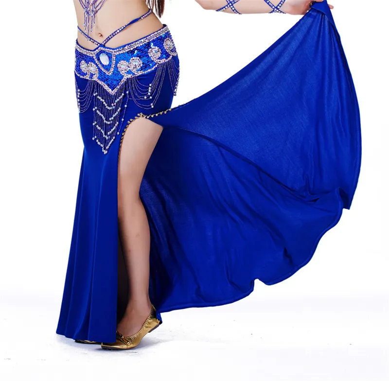 Sexy Belly Dance Costume for Women Long Wave Pattern Skirt Adult ...