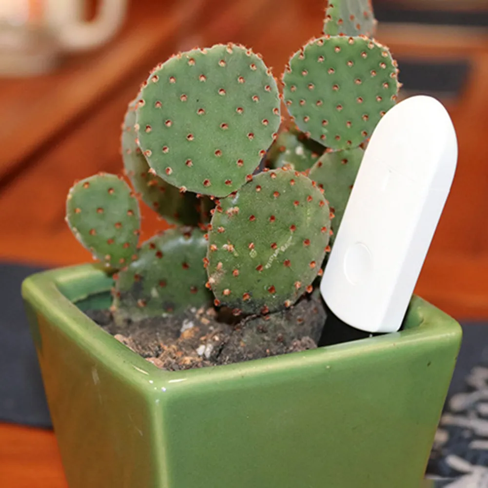 Soil Moisture Sensor And Plant Hygrometer Plant For Garden Care 1 From ...