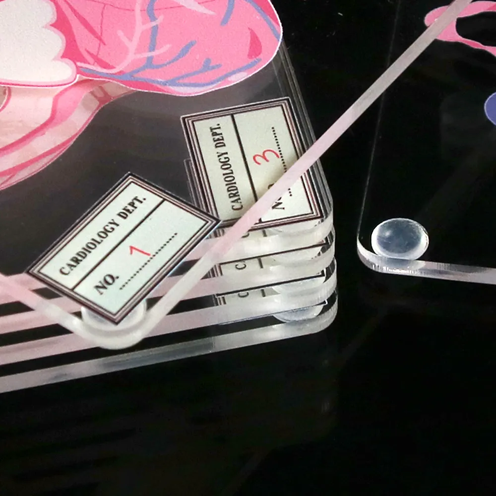 Anatomic Heart Specimen Acrylic Square Coasters 4 × 4 in Beverage Cup ...