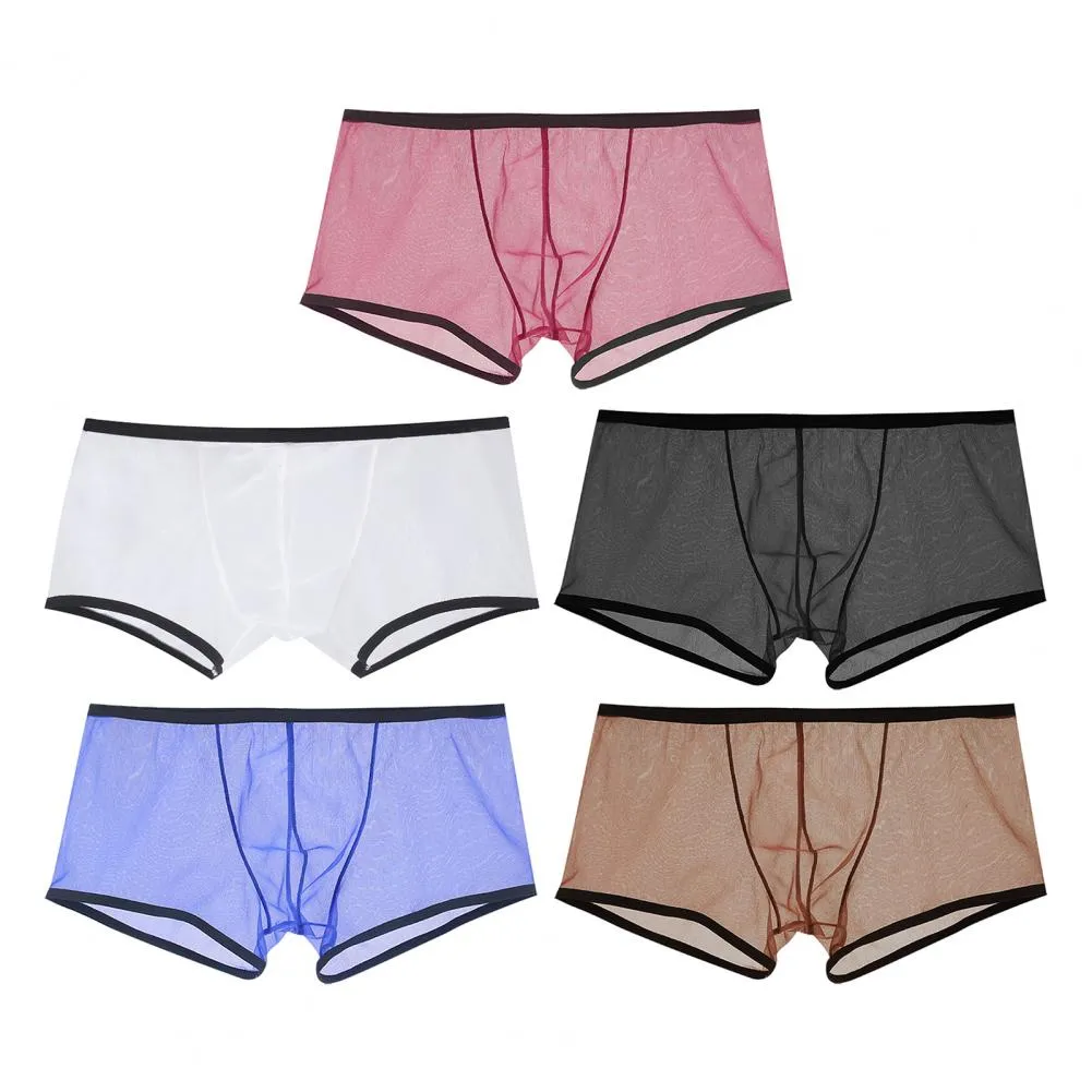 Breathable Mesh Underwear: Transparent Boxers for Men - Low Waist ...