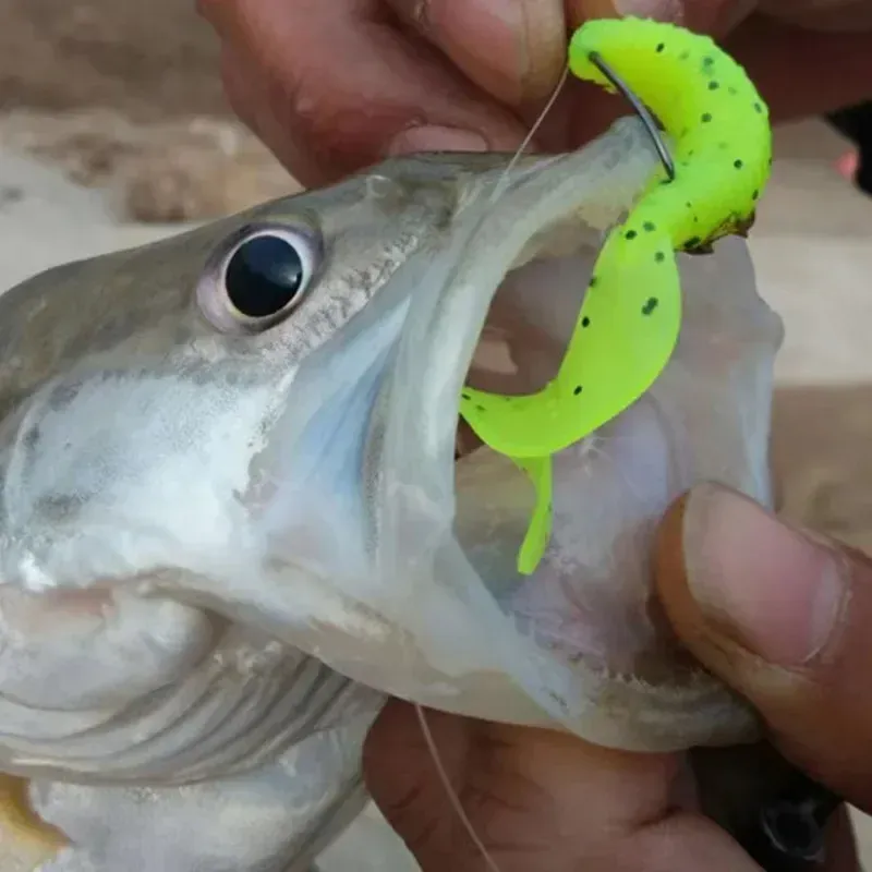 Silicone Grub Worm Soft Bait Fishing Lures with Salt Smell for Bass ...