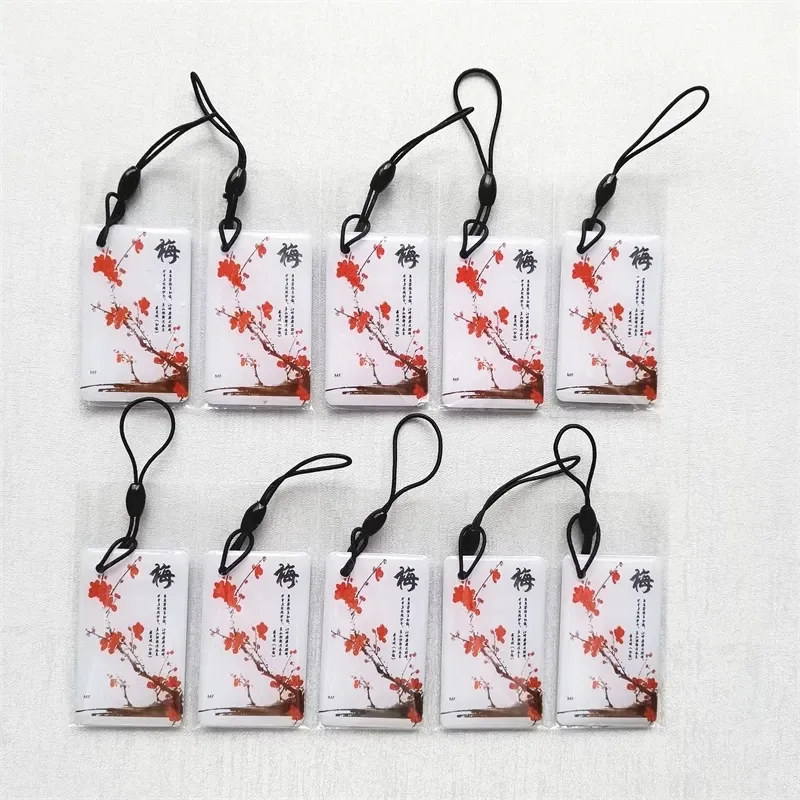 Changeable 10-Pack Writable RFID Smart Chip Keychains with Unique 13 ...