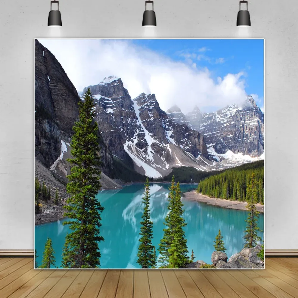 Nature-Inspired landscape photo background with Forest Trees, Stream ...