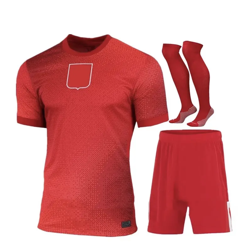 Poland Euro 2024 LEWANDOWSKI Jersey For Men, Kids, And Kids Milik ...
