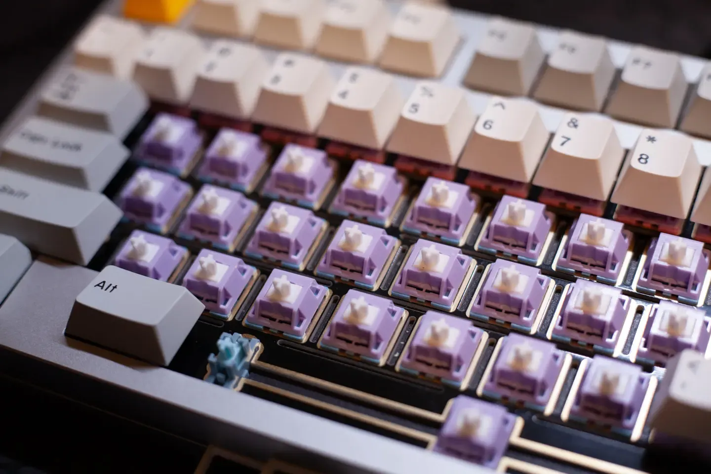 Jacaranda Linear Switches PH KTT 2024 Tactile Mechanical Keyboard ...