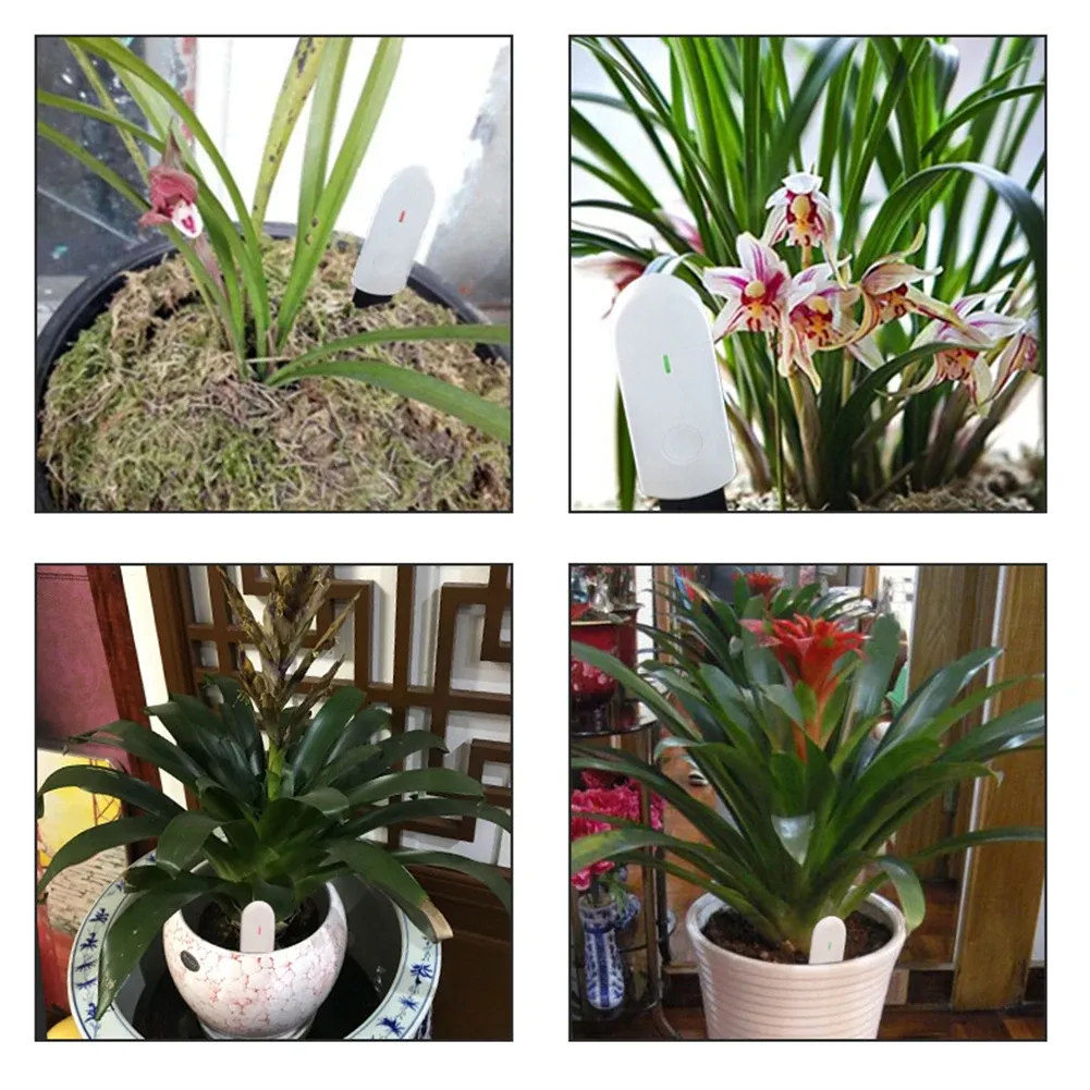 Portable Plant Soil Moisture Sensor, 5-Pack Hygrometer Plant Water ...