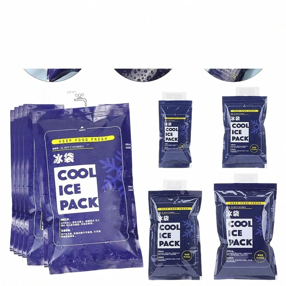 Insulated Cooler Bag with Ice Pack - Restaurant Takeout, Seafood ...