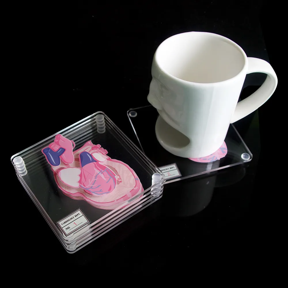 Anatomic Heart Specimen Acrylic Square Coasters 4 × 4 in Beverage Cup ...