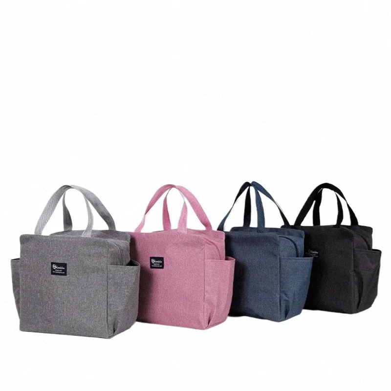 Large Capacity Insulated Lunch Box - Leakproof, Portable Thermal Bag ...