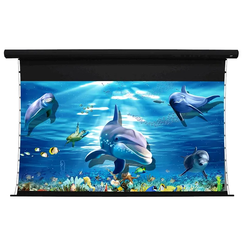 Motorized Projector Screen: 100 Inch Slimline Tab Tensioned ALR ...