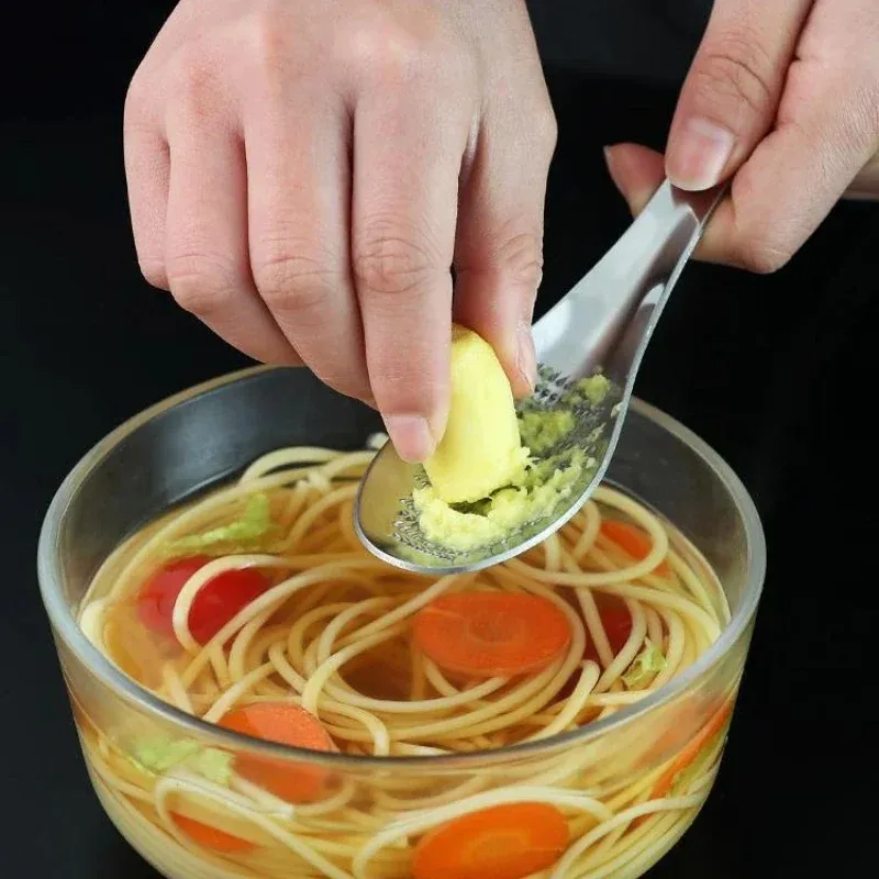 Stainless Steel Grater & Mixing Spoon: Lemon Zester, Garlic, Ginger ...