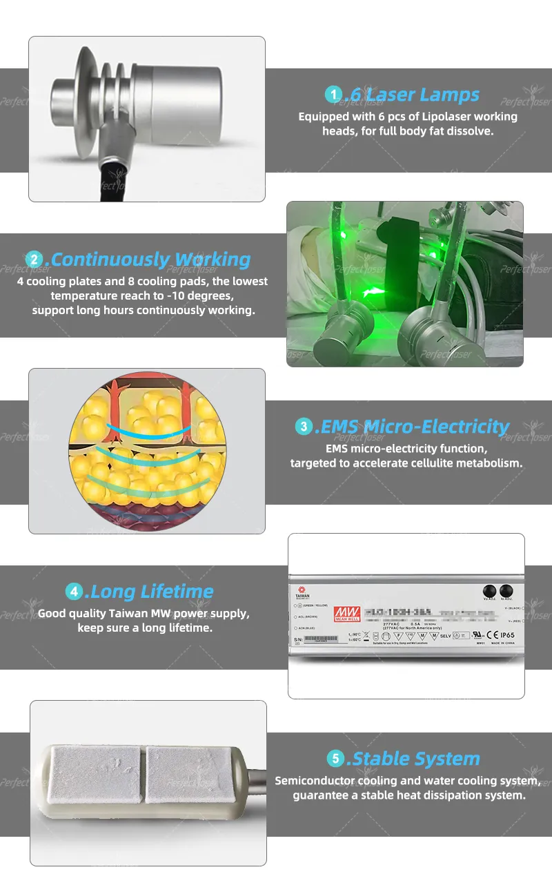 Perfectlaser Salon Spa 3 In 1 Weight Loss Machine with Laser Lipo EMS ...