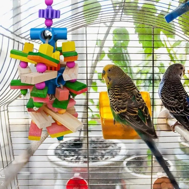 parrots playground