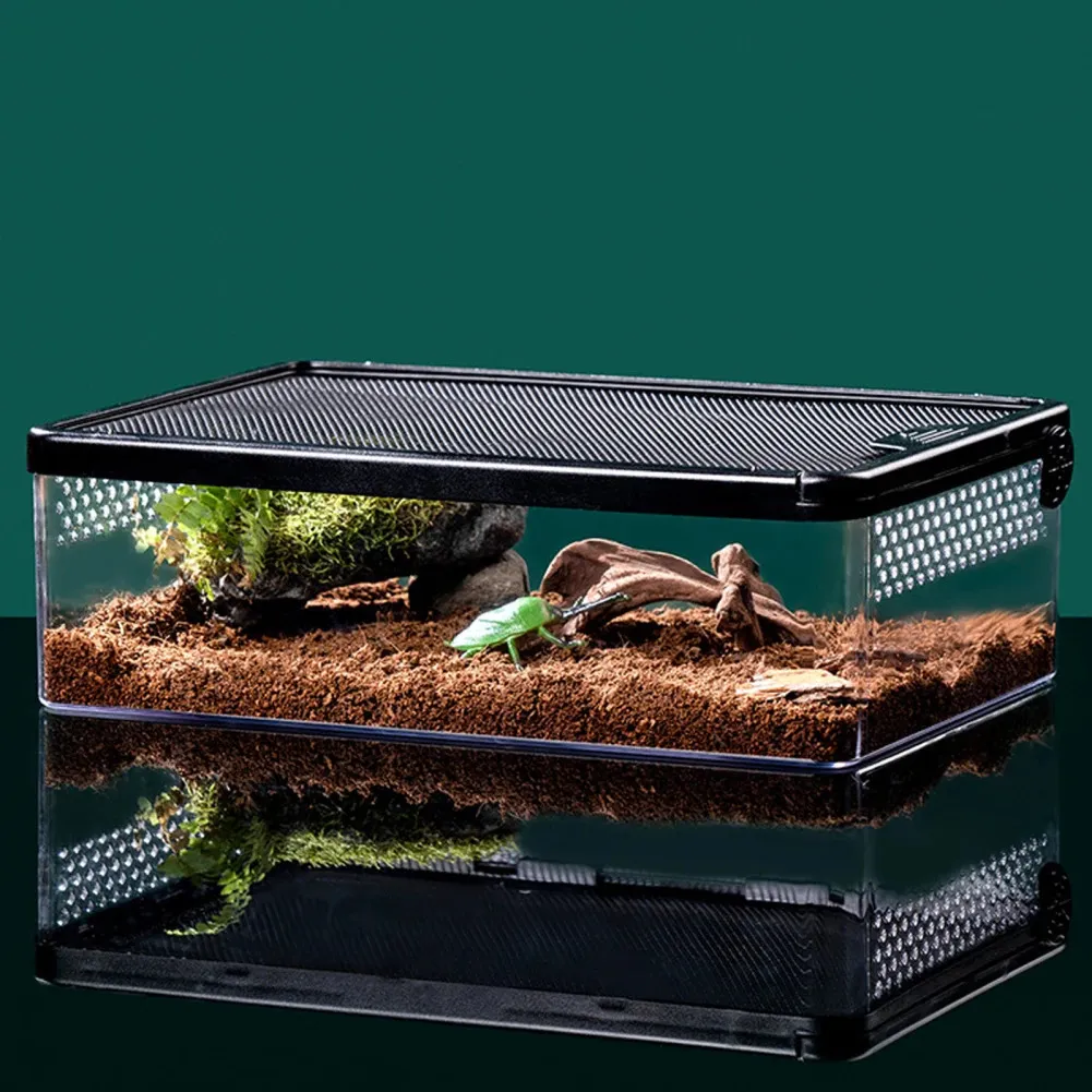 pet turtle tank