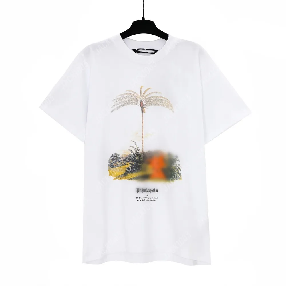 Wholesale Summer Ghost Letter Print Trendy T Shirts Palm 24SS, Unisex, Oversized Hip Hop Style ...