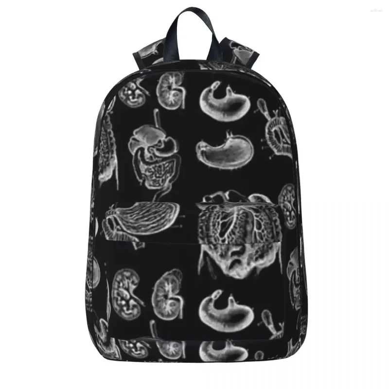 Vintage Human Anatomy Backpack 40x20x25 For Kids Cartoon Bookbag ...