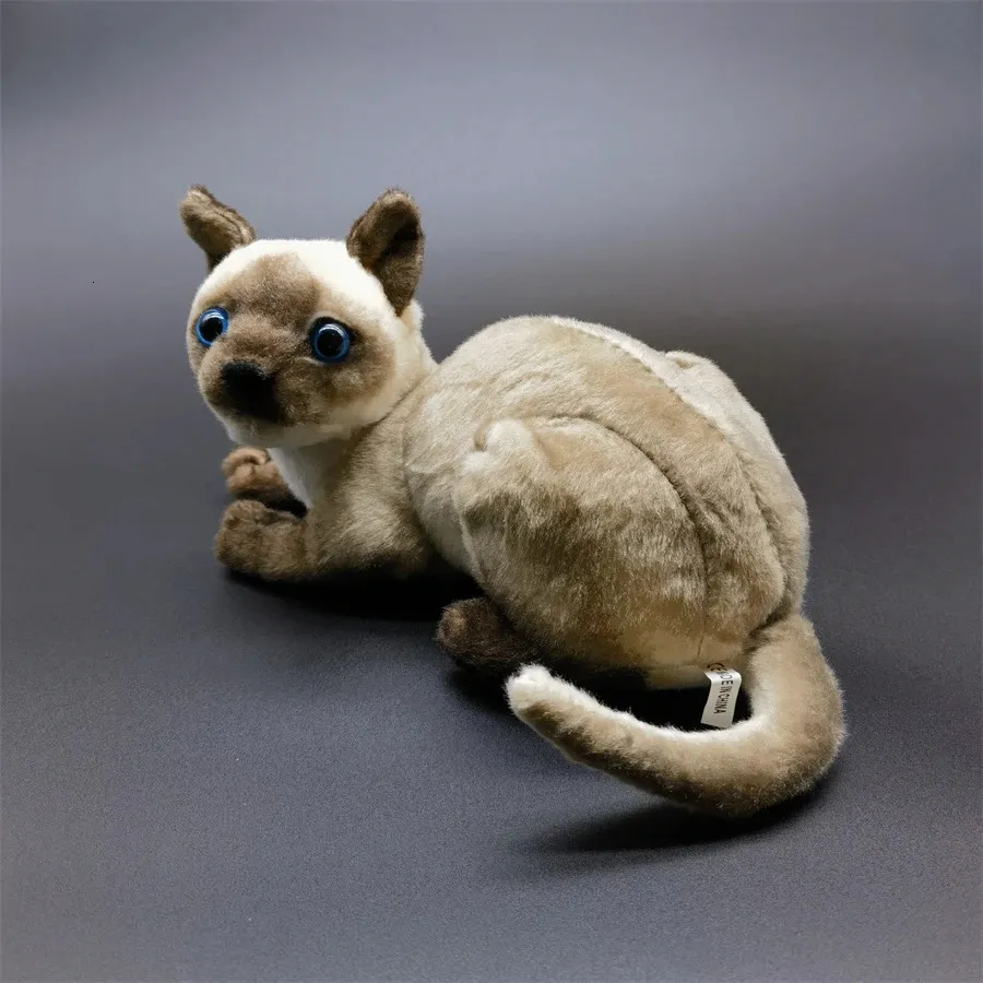 Cute Siamese Cat Capybara Plush Toy Life Animal Simulation Fill Doll ...