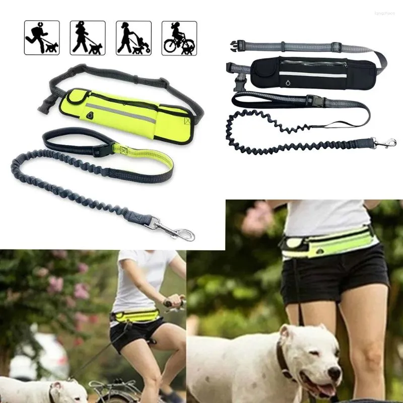 DHgate.com:Reflective Dog Collar & Elastic Jogging Leash with Waist ...