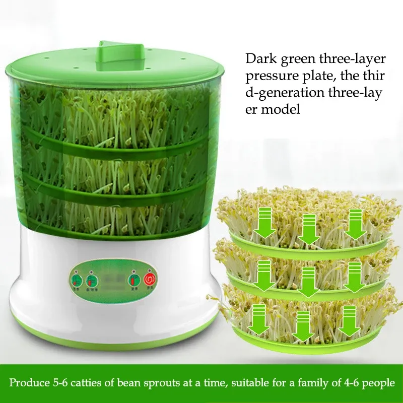 bean sprout planter