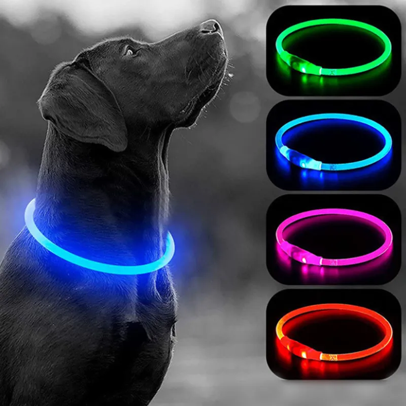USB Rechargeable LED Dog Collar Adjustable Night Safety Flashing Glow ...