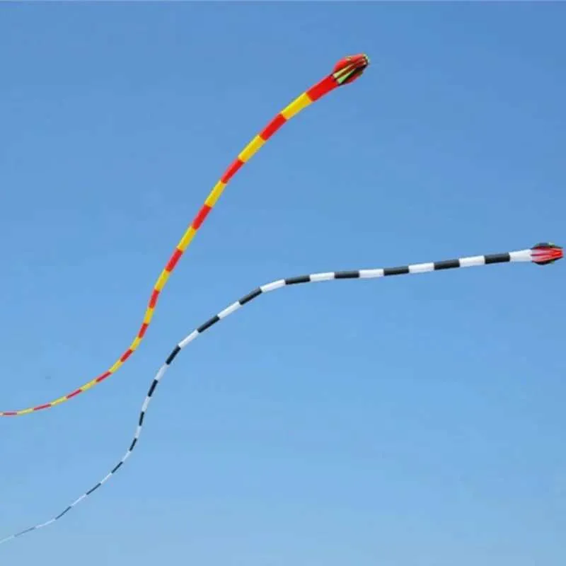 Large 55m Kite Set with Snake Design - Indoor / Outdoor Fun for Adults ...