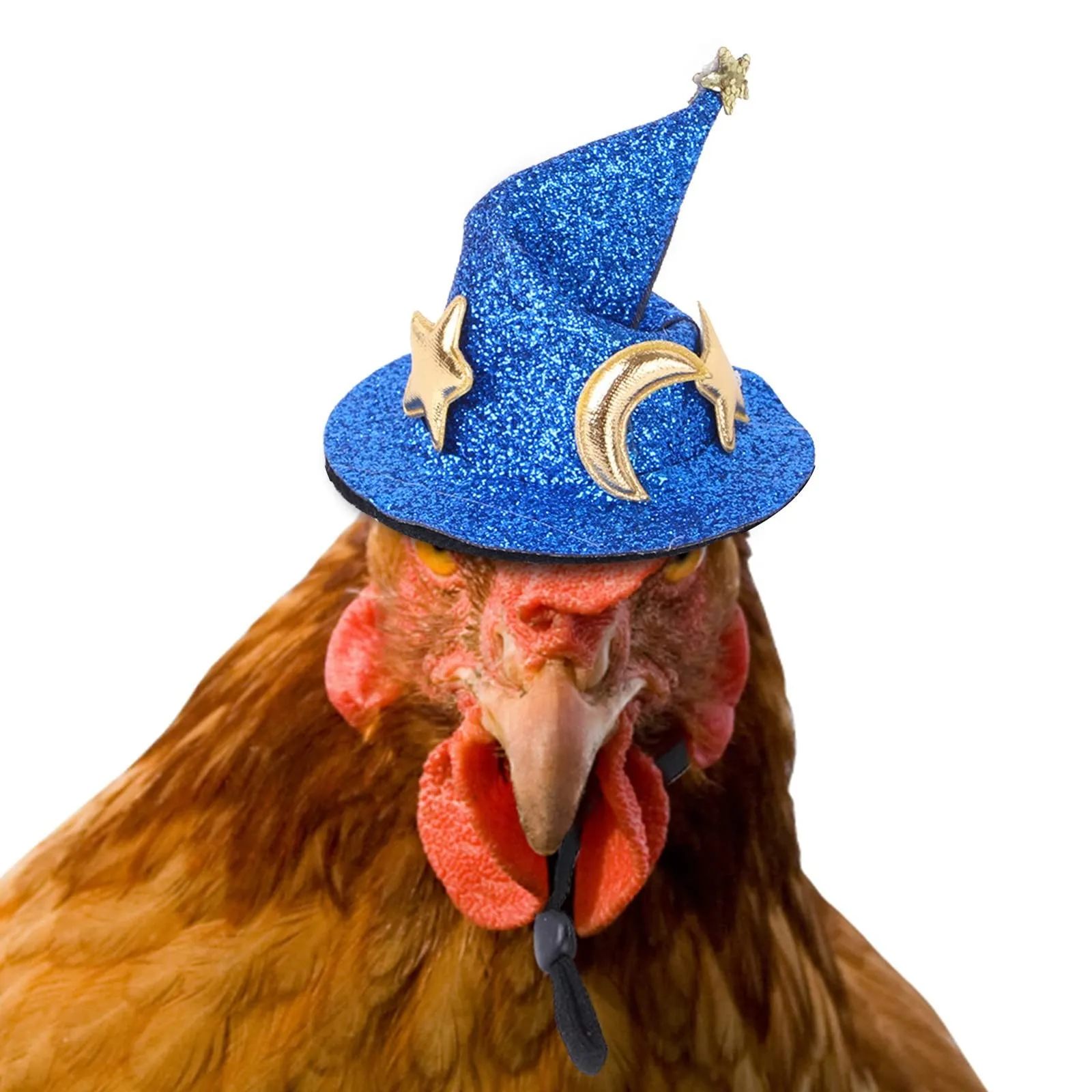 dancing chicken hat