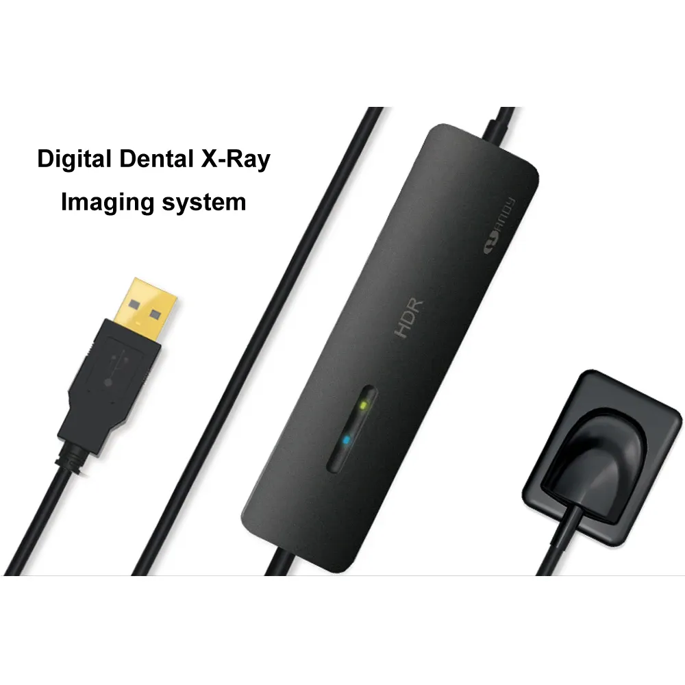 DHgate.com:Dental RVG Sensor - Digital Intra-Oral X-Ray Imaging HDR ...