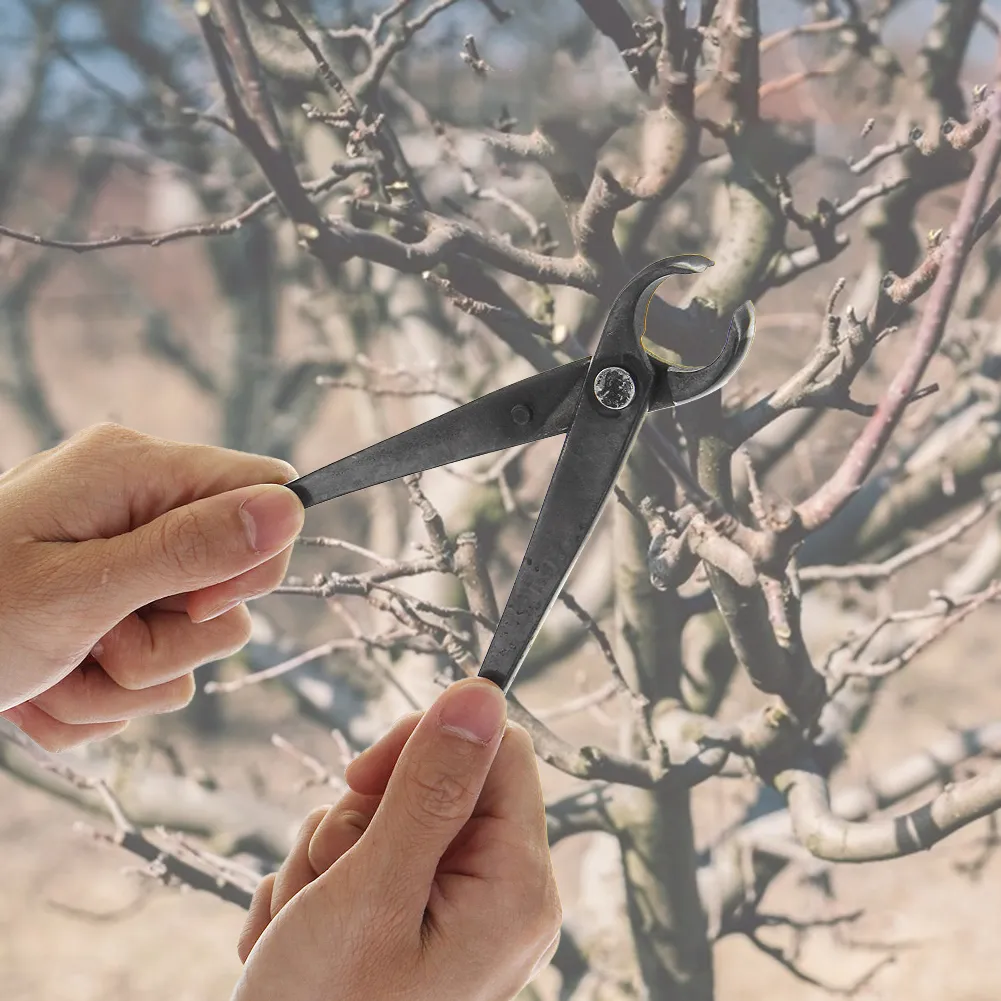 DHgate.com:Ergonomic Aluminum Alloy Bonsai Pruning Shear for Precise ...