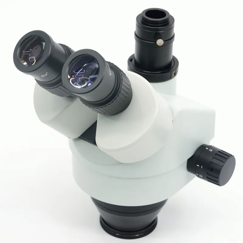 FYSCOPE Simul Focal Trinocular Zoom Stereo penta head microscope Body ...